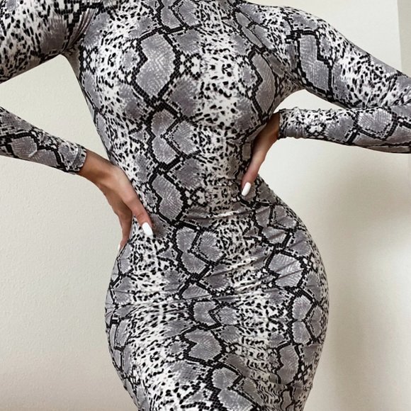 Fashion Nova | Dresses | Sweater Dress Python Print | Poshmark